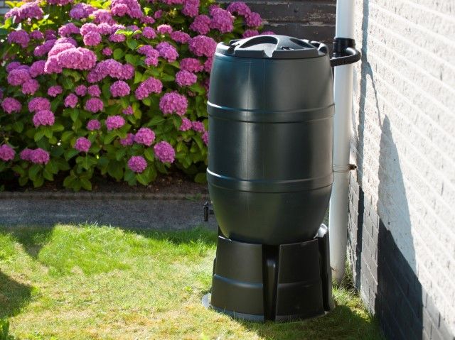 Regenton zwart ø81x51cm (120ltr) kopen? | Intergard Scherpste prijs!